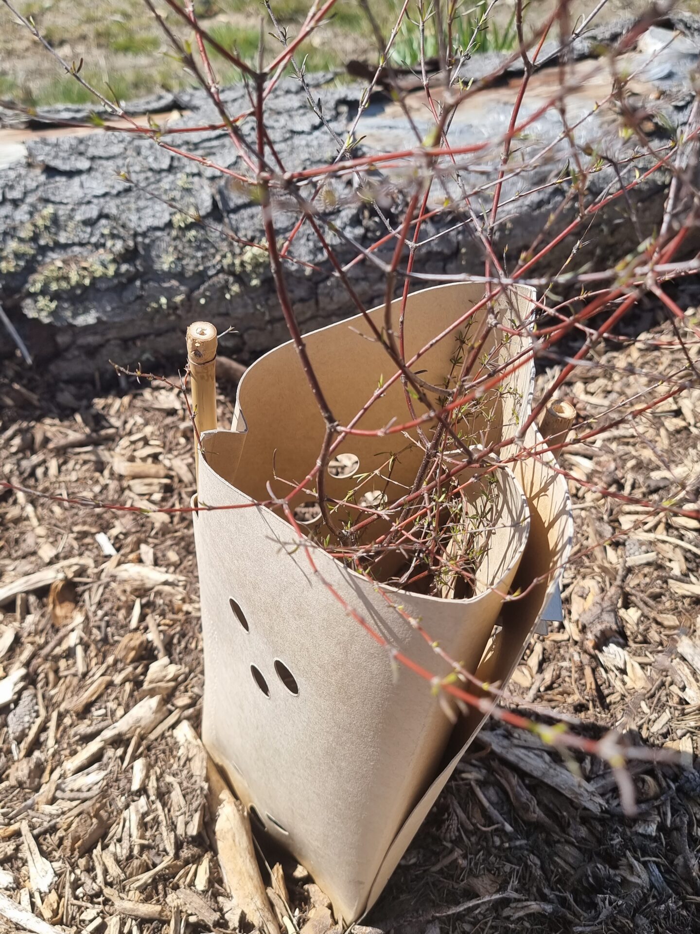 FiberGuard: Solving a ‘Growing’ Problem - Advance Landscape Systems