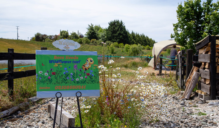 Unveiling FuturFiber Hemp Weed Matting: A Sustainable Marvel from the ...