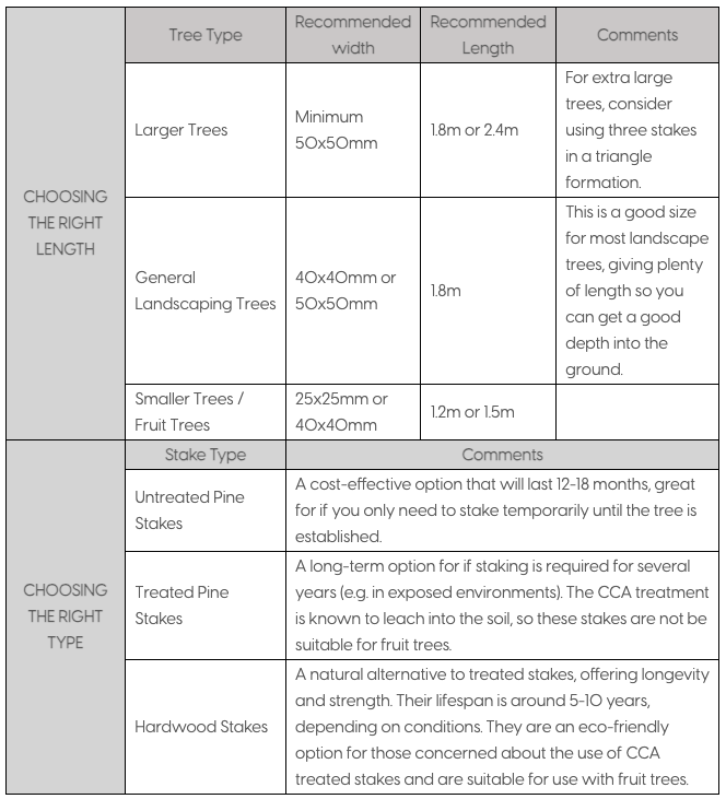 How to Stake a Tree Like a Pro - Advance Landscape Systems