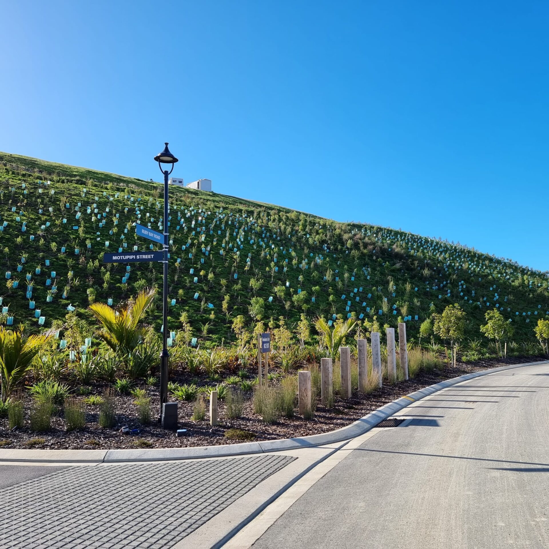 TriGuard: The Ultimate Twin Wall Plant Guard System - Advance Landscape ...