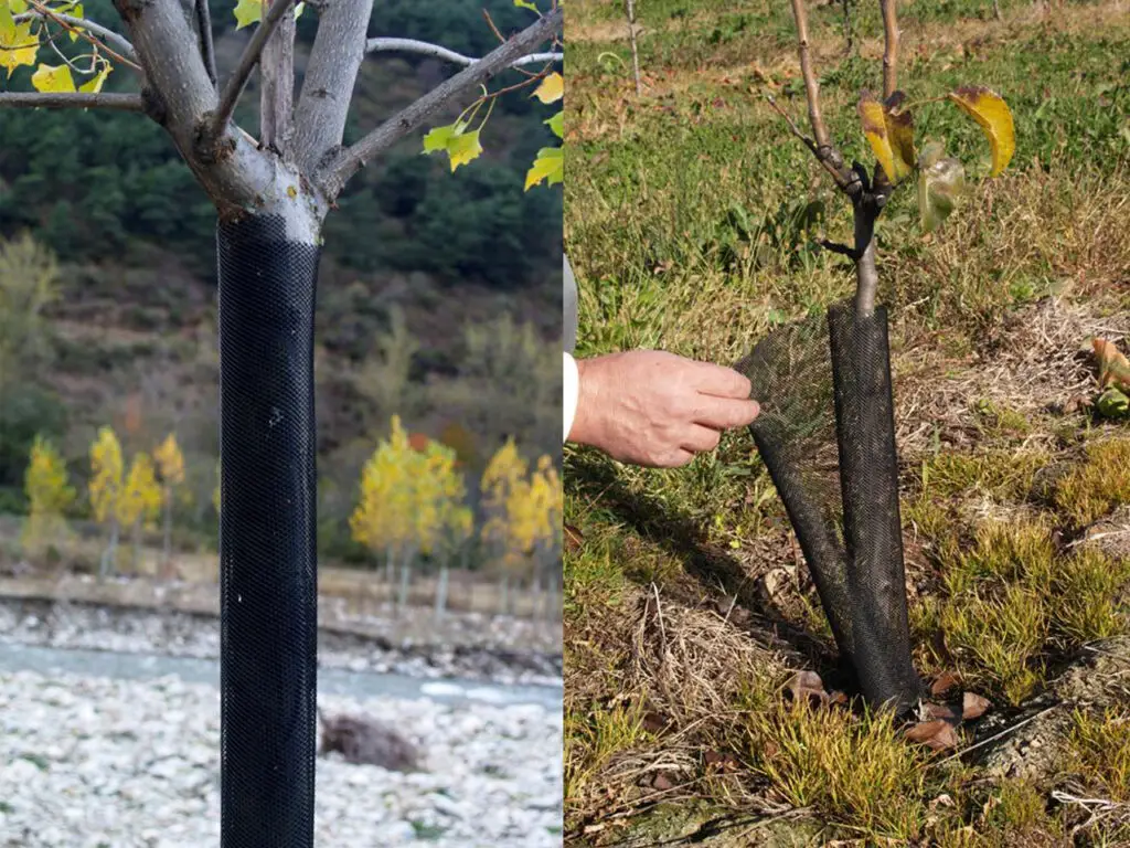 Mesh Trunk Guard | Advance Landscape - Advance Landscape Systems