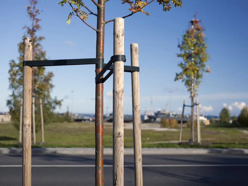 Treated Wooden Stakes - Durable Plant Support | Advance Landscape ...