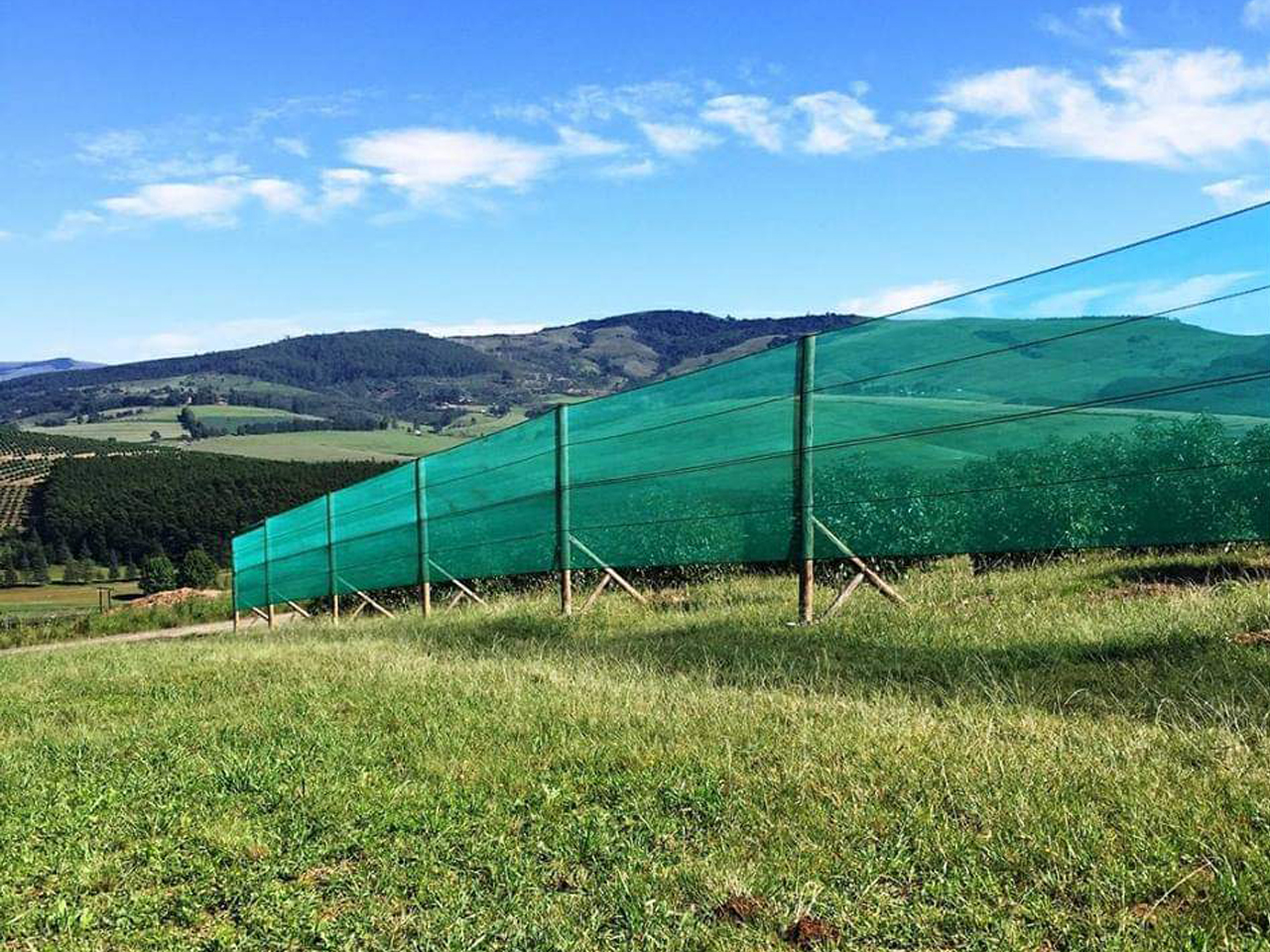 Windbreak Cloth Standard - 1.83m x 50m (Green) 110gsm - Advance ...