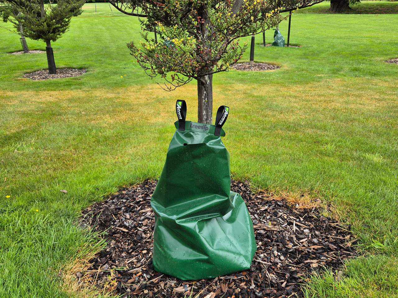 TreeSip Watering Bag 75L | Advance Landscape - Advance Landscape Systems