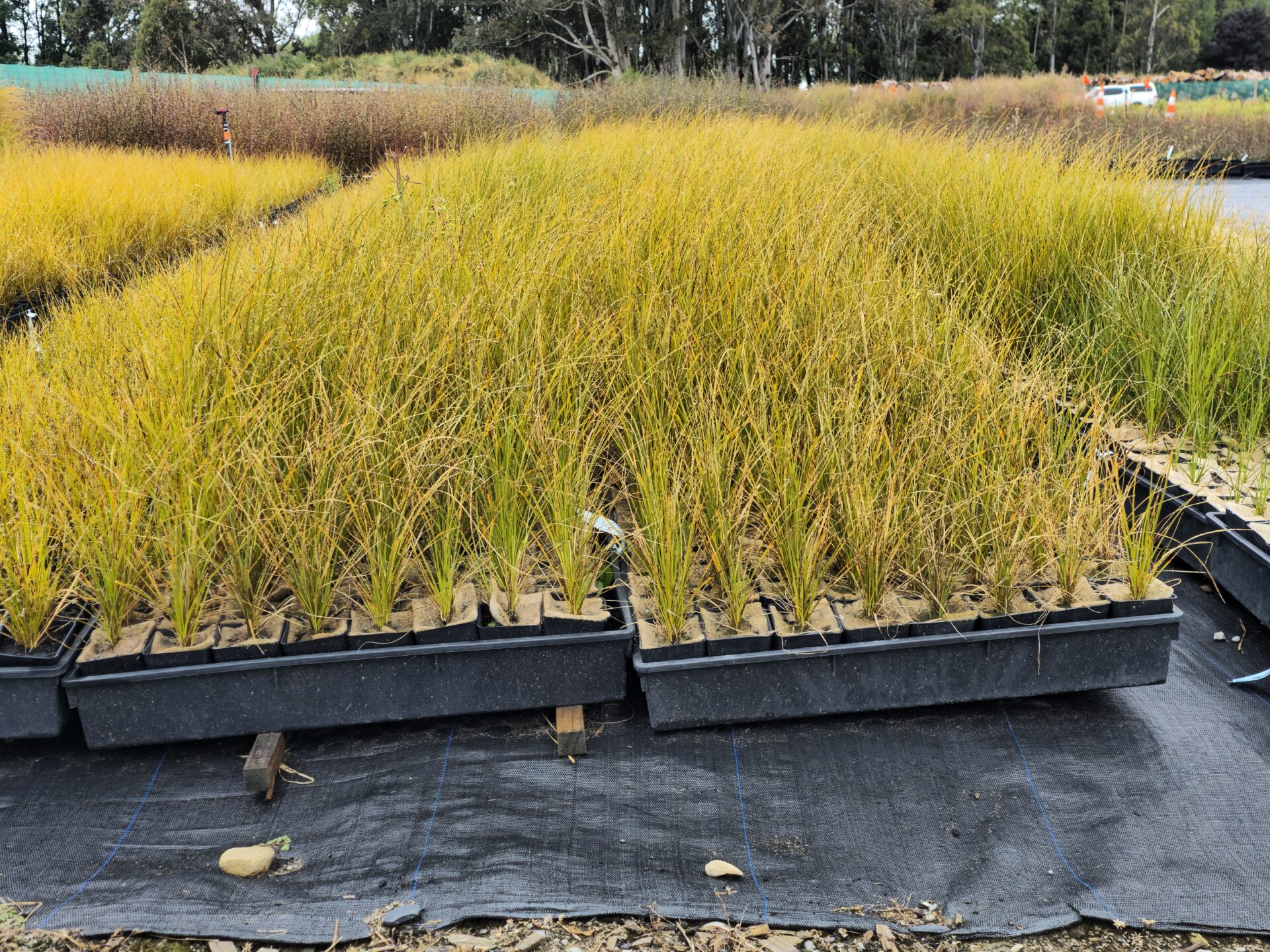 Woven Polypropylene Weed Matting - Durable Weed Control | Advance ...
