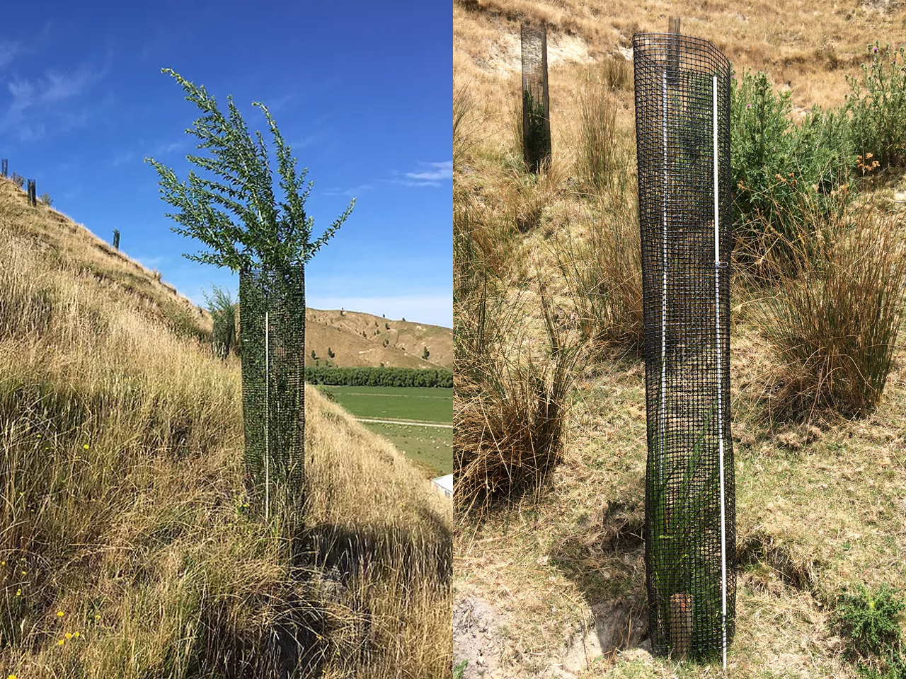 KBC TreeTube Maxi 1.7m - Robust Tree Protection Guards | Advance Landscape - Advance Landscape ...